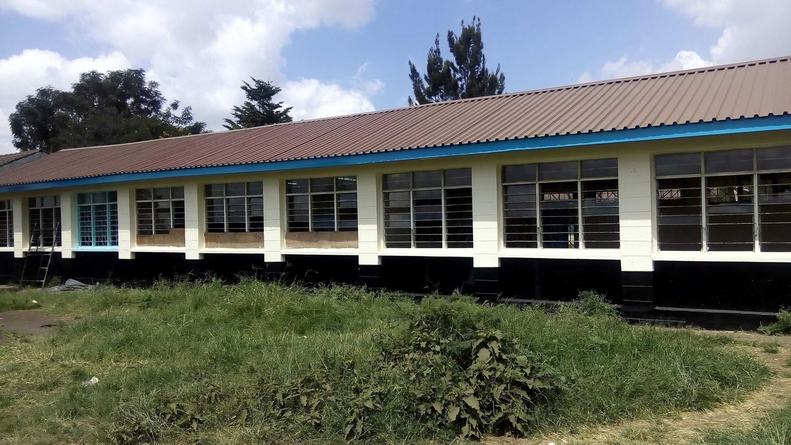 TF| MARTIN LUTHER PRIMARY SCHOOL | Triad Foundation